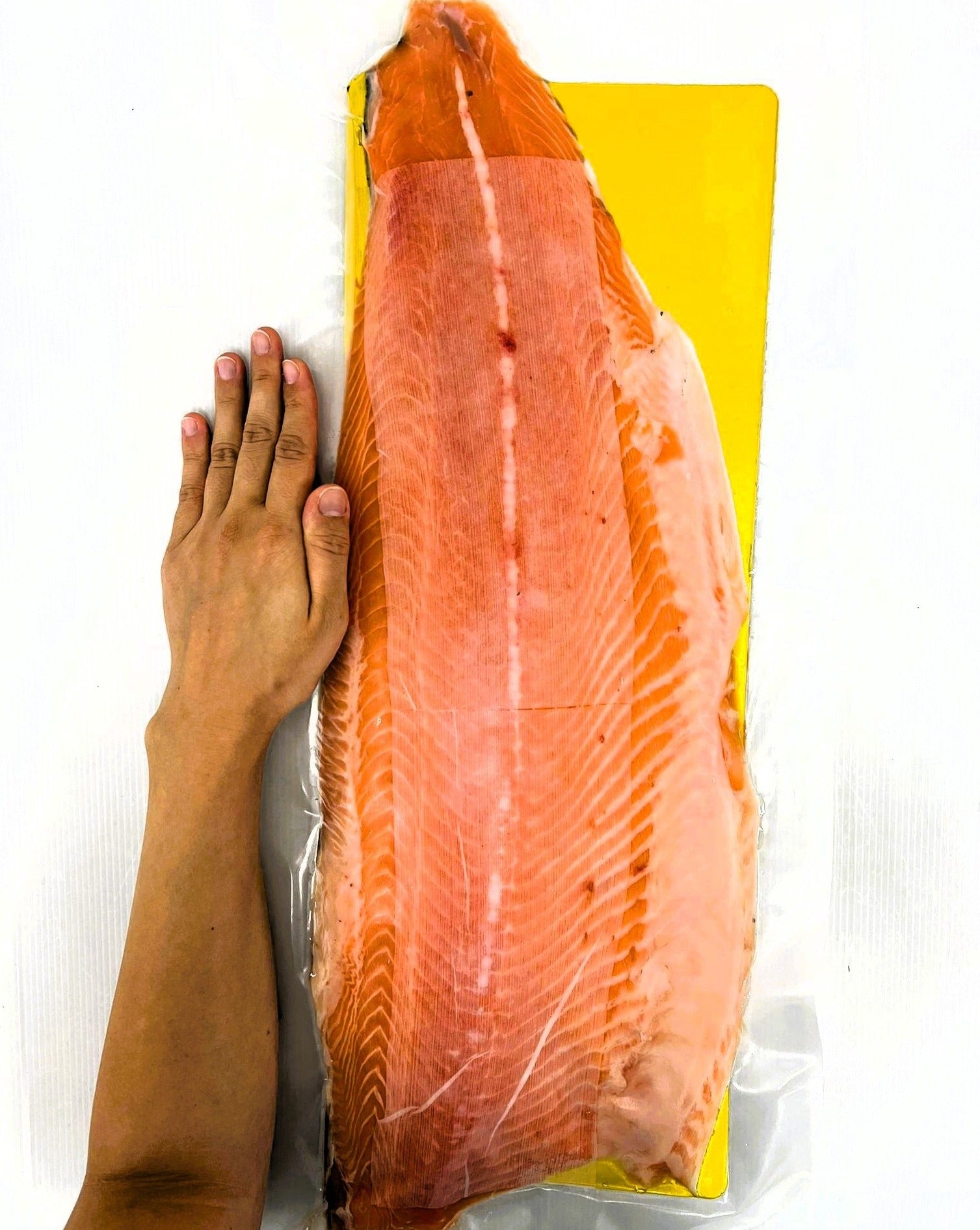 Chilled Atlantic Salmon Fillet (Sashimi Grade) – Northsea Singapore